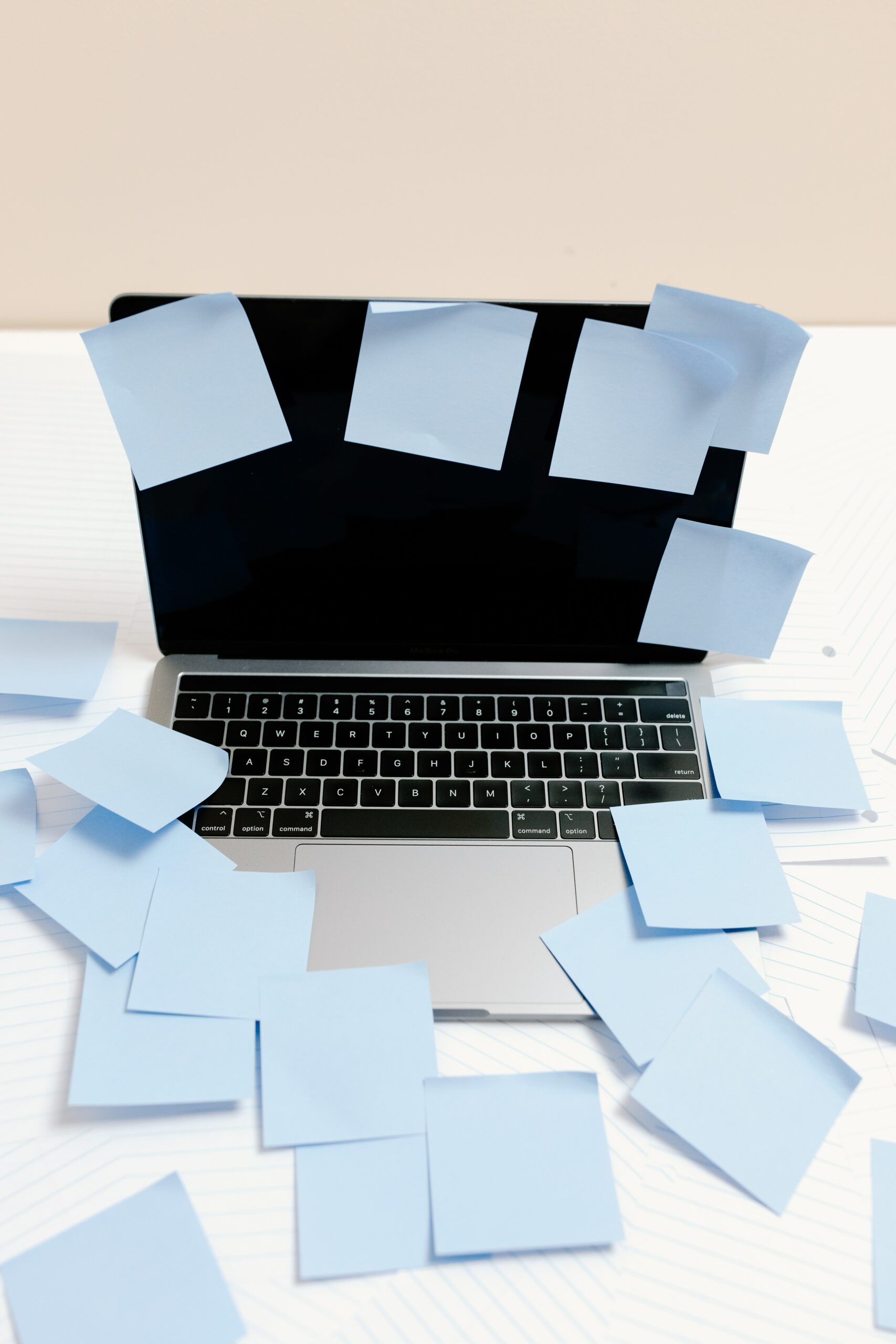 How to organise your notes – Mona Holt